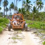 The Original Xtreme Buggy full day adventure! Small groups, VW engine!! - What Makes This Tour Stand Out