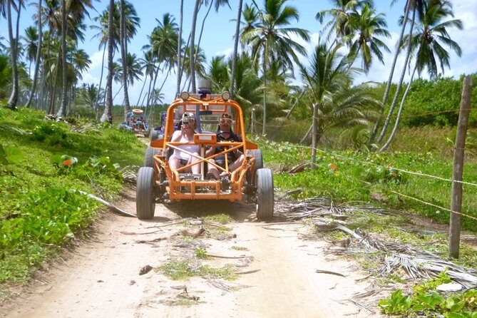 The Original Xtreme Buggy full day adventure! Small groups, VW engine!! - What Makes This Tour Stand Out