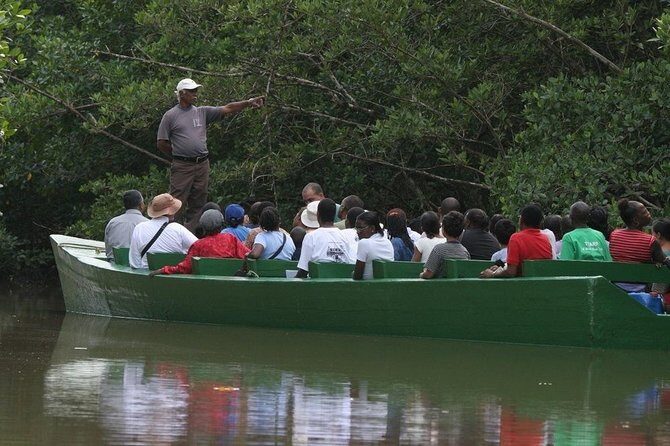 The Scarlet Ibis - Caroni Swamp Tour - The Unique Appeal of the Scarlet Ibis