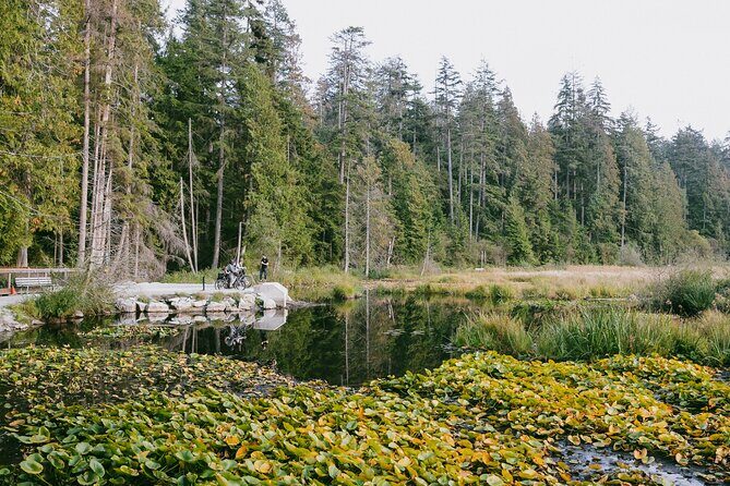 The Stanley Park Family Tour by Cycle City Tours - What Makes This Tour a Great Value?