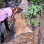 The Tobago Rainforest Tour - Practicalities and Tips