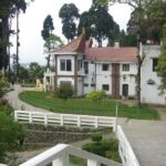 The Travel Tart (5 Point). - Practical Tips for Travelers