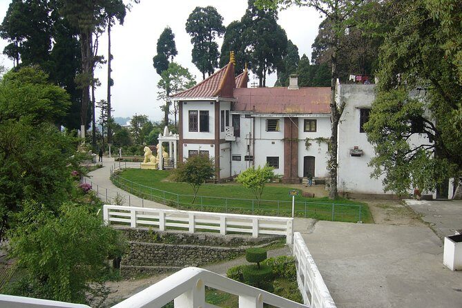 The Travel Tart (5 Point). - Practical Tips for Travelers