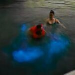 The ULTIMATE Bioluminescence night time adventure with Brandon - The Sum Up