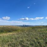 The Urban Wild Calgary Nature Loop Private Tour - What Makes This Tour Stand Out?