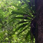 The Wilds: Khao Yai Trekking and Stargazing 2-Day Tour - Day 1 Highlights: From Forest Trails to Night Skies