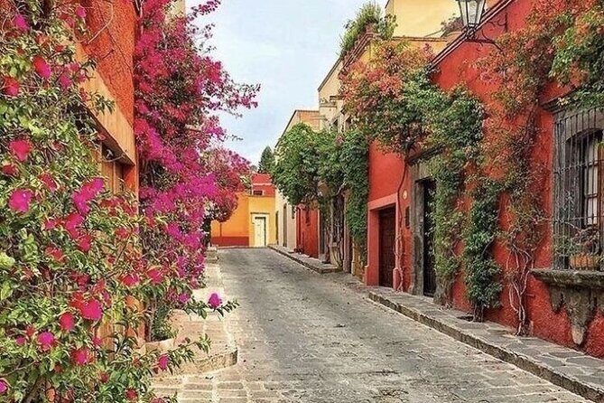 Theatrical Walking Tour of Coyoacan: Day of the Dead Legends - The Sum Up