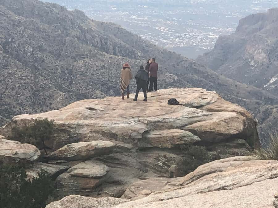 This guid tour lets the customers experience 4 bio zones. - Why This Tour Offers Great Value