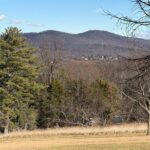 Thomas Jeffersons Monticello Excursion from Washington DC - Arrival and Entry