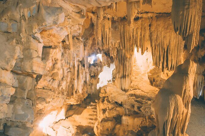 Thung Nham Bird Park, Bich Dong Pagoda, Legendary Caves Tour - How the Day Unfolds