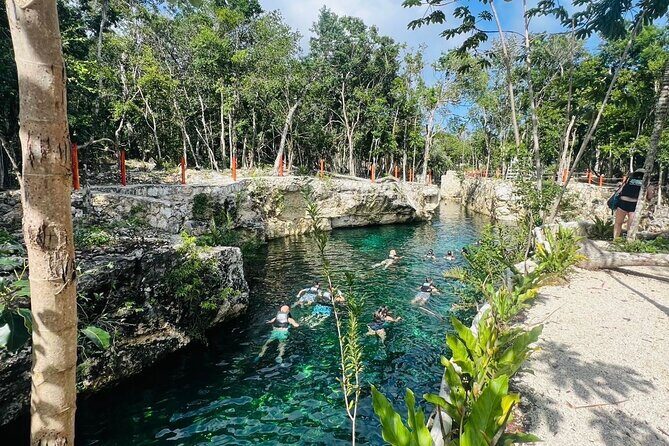 Tickets to 4 cenotes turtle house 2 caverns and 2 outdoors - Who Is This Tour Best For?
