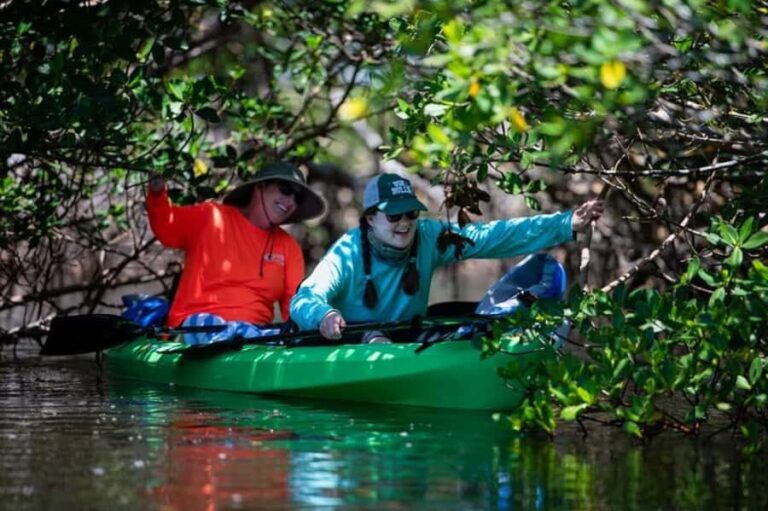 Tierra Verde: Kayak Tour at Shell Key with Capt Yak - Who Will Love This Tour?