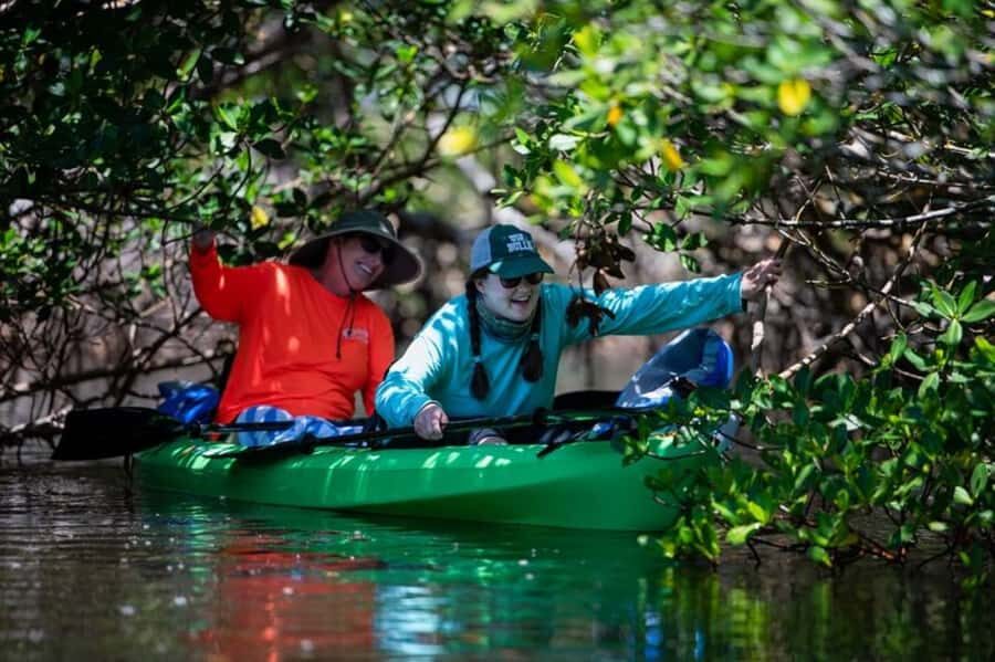 Tierra Verde: Kayak Tour at Shell Key with Capt Yak - Who Will Love This Tour?