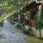 Tiger Tracking Tour in Chitwan with Jeep Safari- 2 Nights 3 Days - What the Tour Includes — and What It Doesn’t