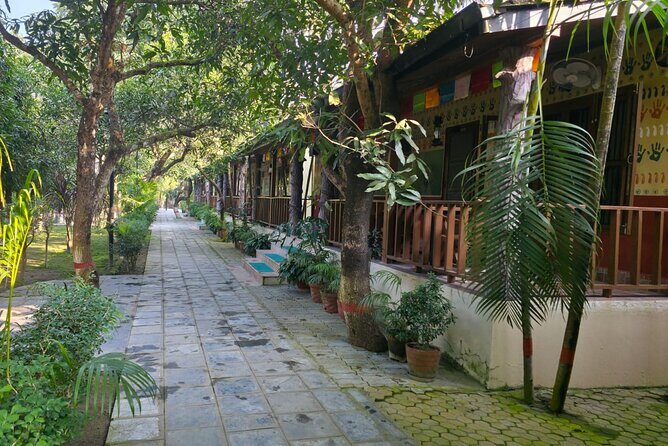 Tiger Tracking Tour in Chitwan with Jeep Safari- 2 Nights 3 Days - What the Tour Includes — and What It Doesn’t