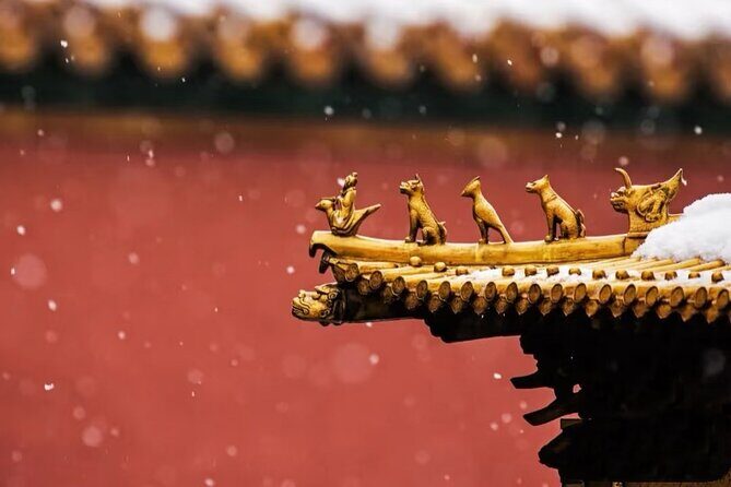Time Travel Tour of the Forbidden City in Beijing - Who Should Consider This Tour?