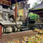 Tirta Empul: Temple Tour with Optional Spiritual Cleansing - An In-Depth Look at the Itinerary