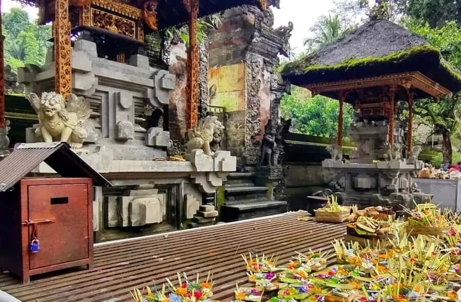 Tirta Empul: Temple Tour with Optional Spiritual Cleansing - An In-Depth Look at the Itinerary