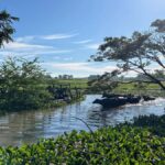 Tissamaharama Fresh Curd-Making Experience - Transportation, Timing, and Practicalities