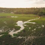 Tissamaharama: Sunset Boat Ride and Lake BBQ with Beer - Who Will Love This Tour?