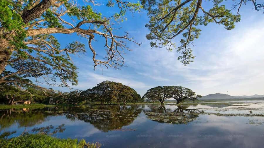 Tissamaharama: Sunset Boat Tour and Lake BBQ - Why Choose This Tour?