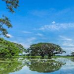 Tissamaharama To Ella - Why Choose This Service?