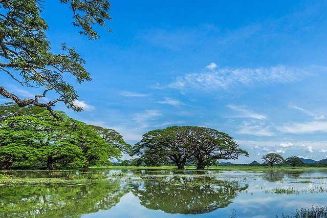 Tissamaharama To Ella - Why Choose This Service?