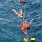 Tobago: Buccoo Reef and Nylon Pool Boat Tour with Transfer - Final Thoughts: Who Should Consider This Tour?