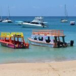 Tobago Buccoo Reef Glass Bottom Boat Cruise and Island Sightseeing Tour - The Crown Jewel: Buccoo Reef Glass Bottom Boat