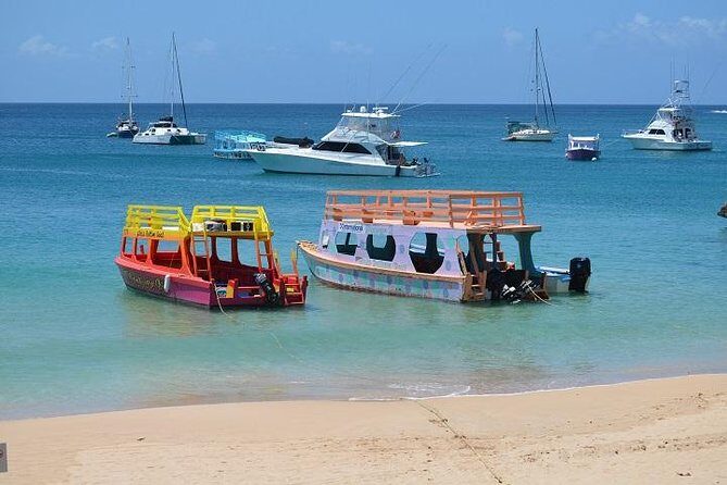 Tobago Buccoo Reef Glass Bottom Boat Cruise and Island Sightseeing Tour - The Crown Jewel: Buccoo Reef Glass Bottom Boat