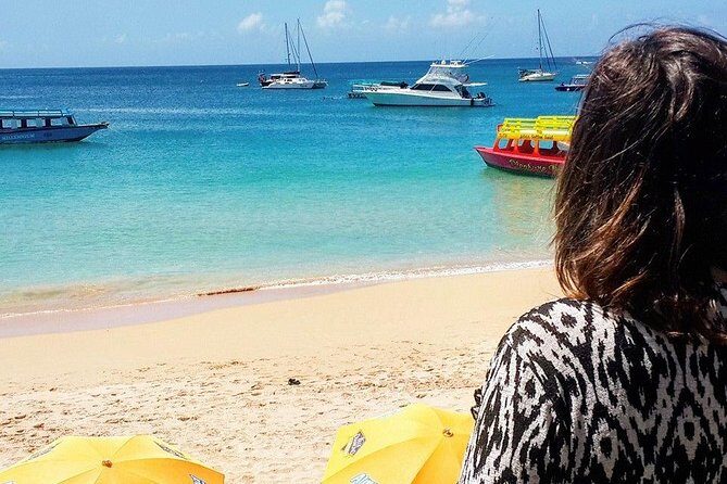 Tobago Buccoo Reef Glass Bottom Boat Tour - Deep Dive into the Itinerary