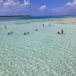 Tobago: Buccoo Reef Marine Park Glass Bottom Boat Tour - Practical Details & Tips for Your Trip