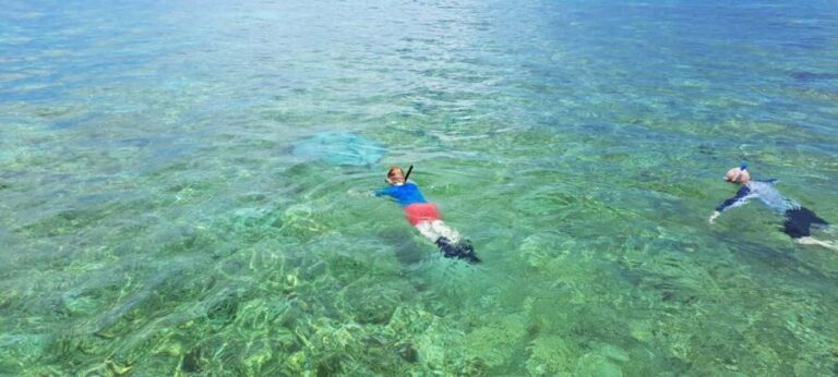 Tobago: Coral Reef Boat Tour with BBQ and Transfer - Authentic Experiences and Practical Tips