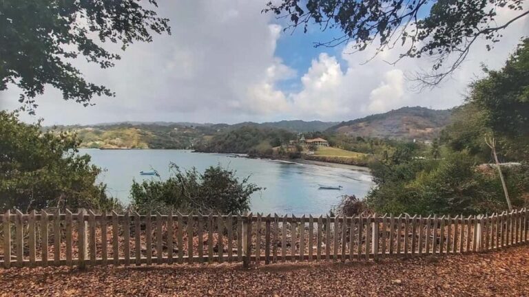 Tobago: Full Day Atlantic Coast Tour with Lunch - The Practicalities: What to Expect