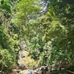 Tobago: Half Day Atlantic Coast Tour with Transfer - Who Will Love This Tour?