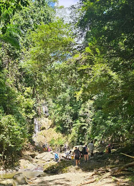 Tobago: Half Day Atlantic Coast Tour with Transfer - Who Will Love This Tour?