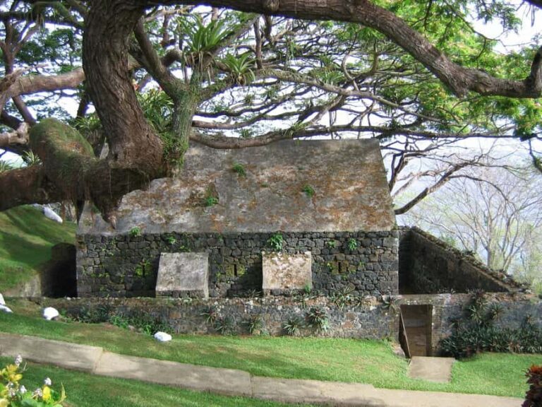 Tobago: Half-Day Highlights Tour - An In-Depth Look at the Tobago Half-Day Highlights Tour