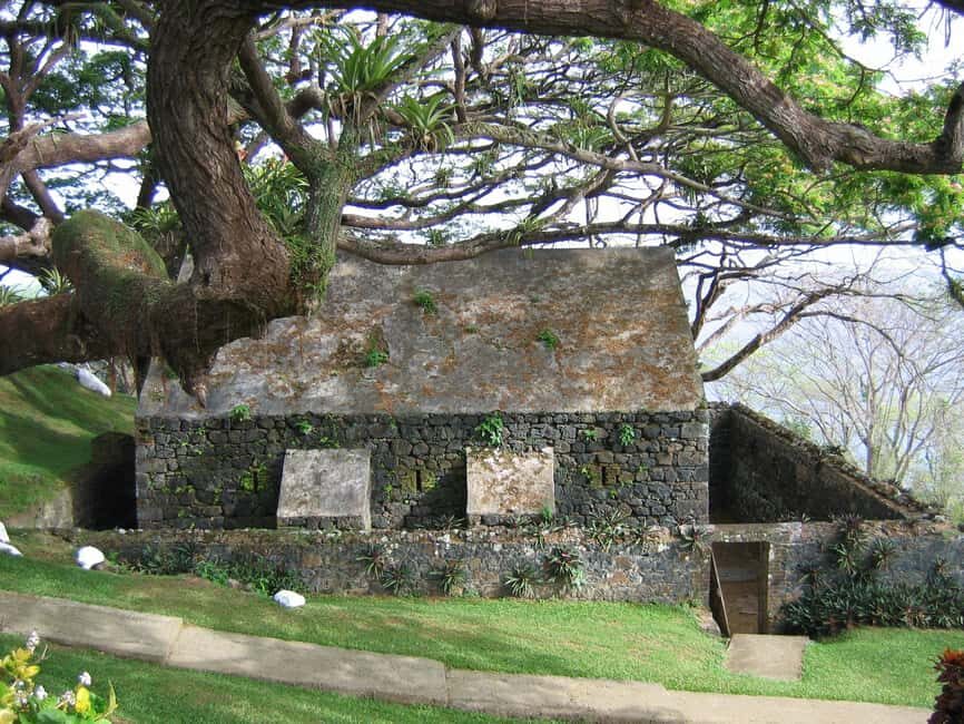 Tobago: Half-Day Highlights Tour - An In-Depth Look at the Tobago Half-Day Highlights Tour