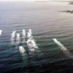 Tobago: Jet Ski Safari to Castara Bay with Local Guide - An In-Depth Look at the Itinerary