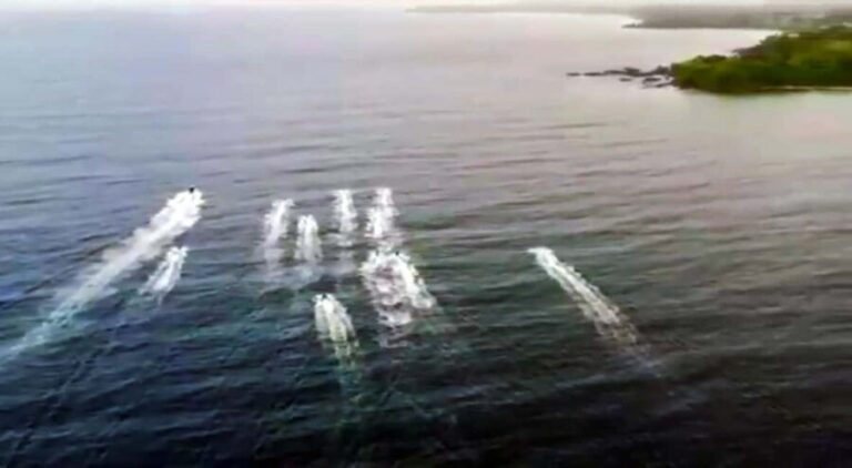 Tobago: Jet Ski Safari to Castara Bay with Local Guide - An In-Depth Look at the Itinerary