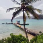 Tobago: Little Tobago Bird Sanctuary Visit and Boat Tour - Detailed Breakdown of the Itinerary