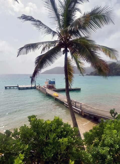 Tobago: Little Tobago Bird Sanctuary Visit and Boat Tour - Detailed Breakdown of the Itinerary