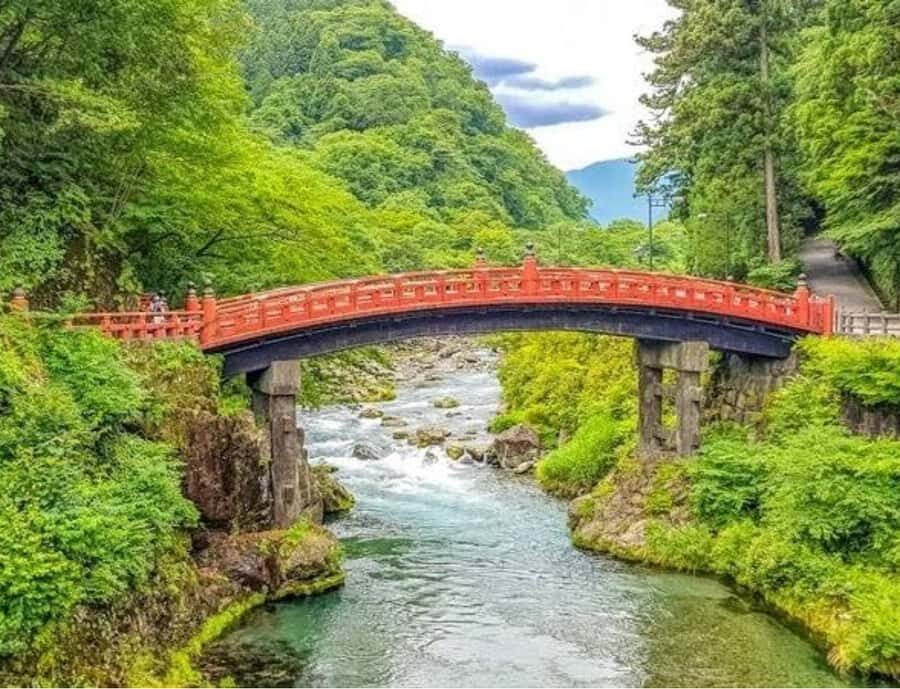 Tochigi: Nikko Private Tour with Driver & Hotel Pickup - The Itinerary: What You Can Expect