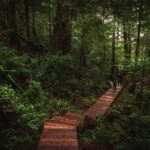 Tofino: Hot Springs Cove Tour with Wildlife Cruise - Detailed Breakdown of the Tour Experience