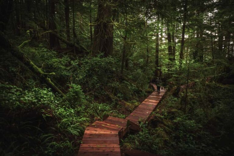 Tofino: Hot Springs Cove Tour with Wildlife Cruise - Detailed Breakdown of the Tour Experience