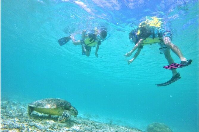 Tokashiki Island Day Trip from Naha - Aharen Beach: The Heart of the Experience
