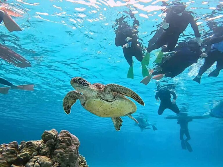 Tokashiki Tokashiku Beach: Banana Boat Snorkeling (No Ferry) - Who is this tour best suited for?