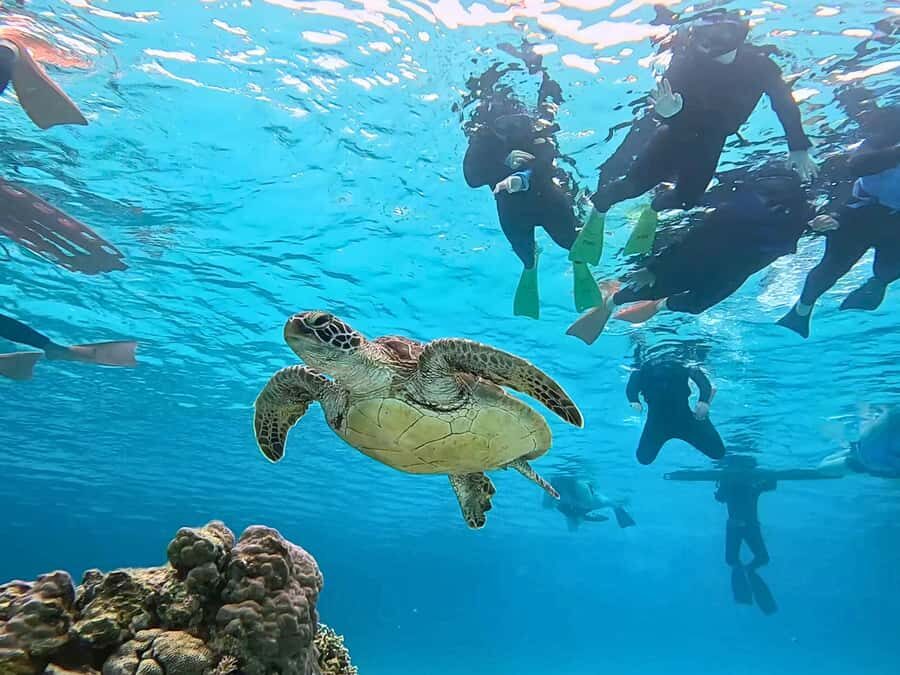 Tokashiki Tokashiku Beach: Banana Boat Snorkeling (No Ferry) - Who is this tour best suited for?