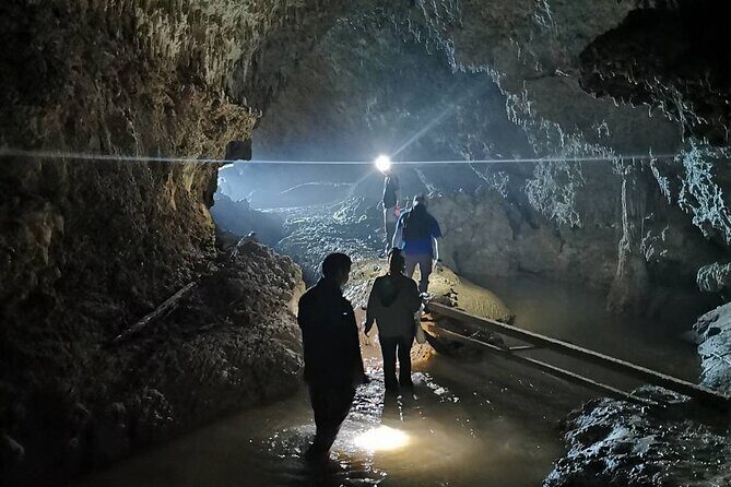 Tokunoshima Nature Experience Program on a World Heritage island - Key Points