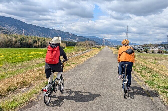 Tokushima Cycling Tour to Riverside Town and Indigo Dyeing - What Travelers Say